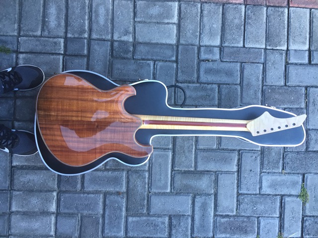 EDIGREG's Koa Equator Instruments Standard Build | Page 5 | The Gear Page